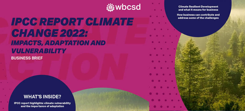 IPCC Report Climate Summary 2022: Impacts, Adaptation and Vulnerability ...